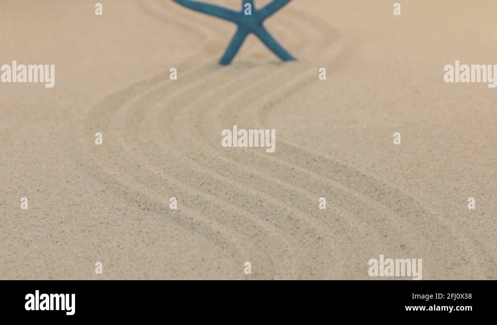 Blue starfish standing beach Stock Videos & Footage - HD and 4K Video ...