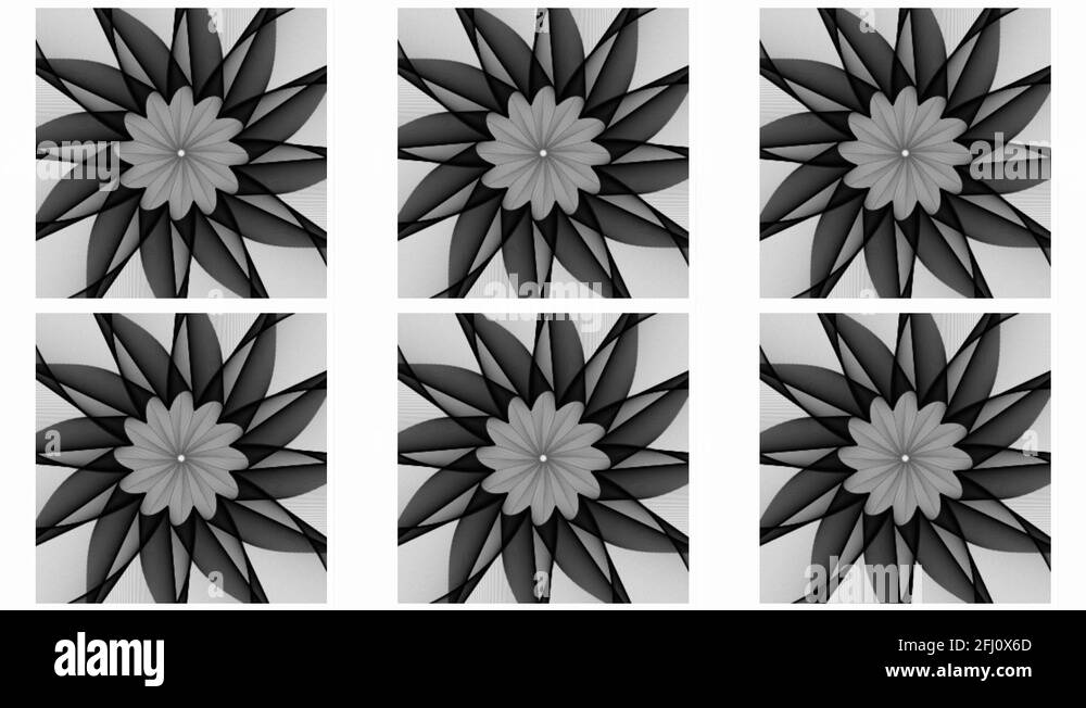 Motion graphics animated rotating growing flower pedals Stock Video ...