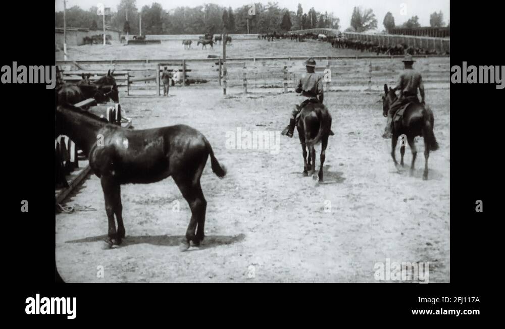 Mule pack train Stock Videos & Footage - HD and 4K Video Clips - Alamy