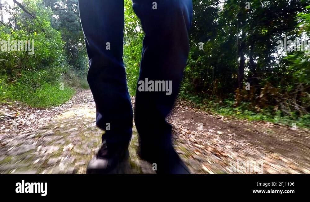 Walking legs Stock Videos & Footage - HD and 4K Video Clips - Alamy