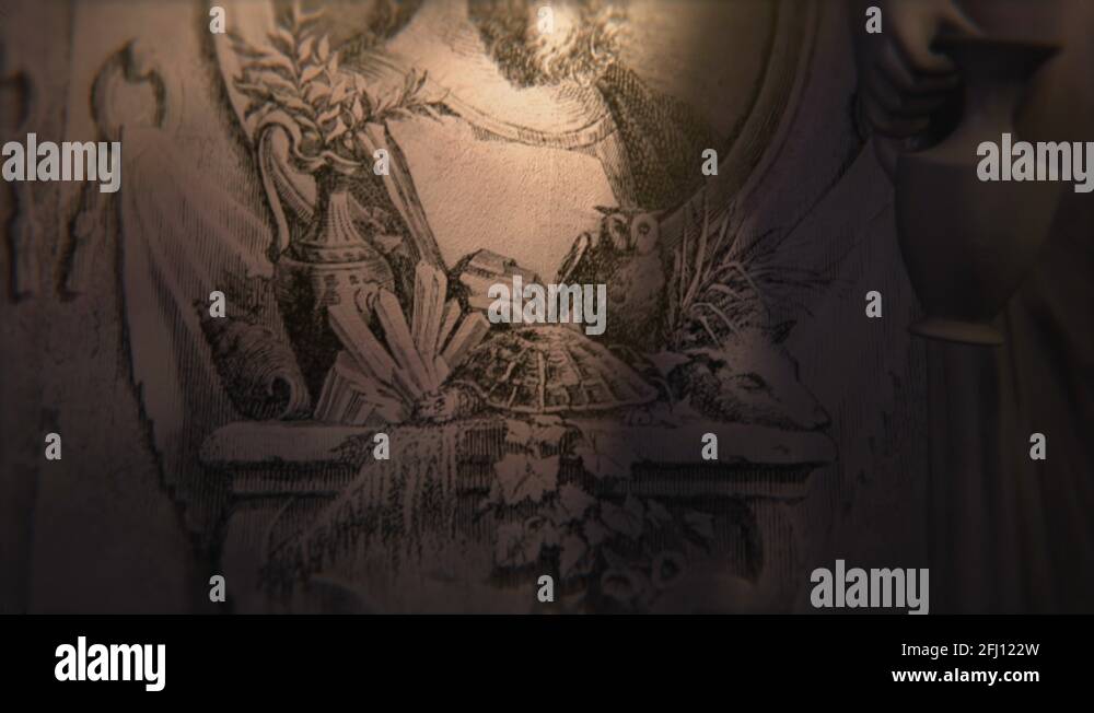 Pliny the elder Stock Videos & Footage - HD and 4K Video Clips - Alamy