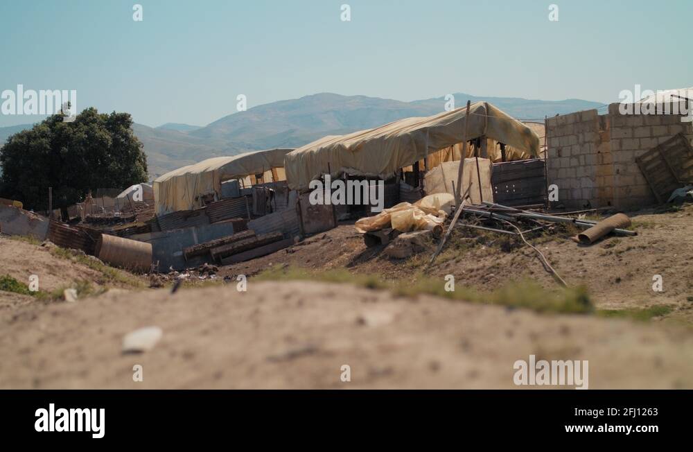 Poor farm conditions Stock Videos & Footage - HD and 4K Video Clips - Alamy