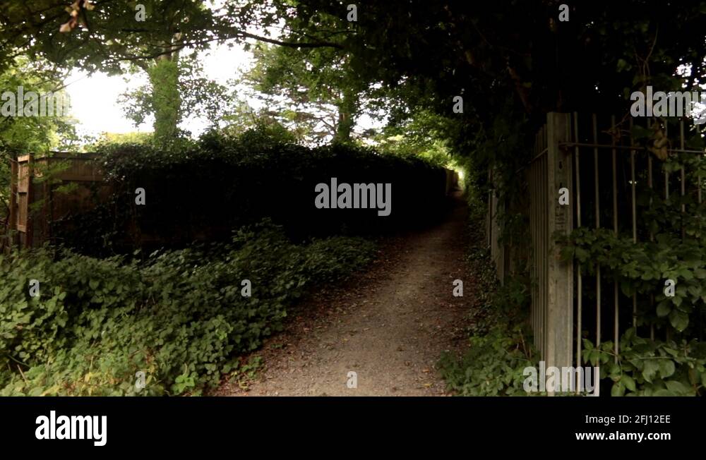 Shrubbery pathway Stock Videos & Footage - HD and 4K Video Clips - Alamy