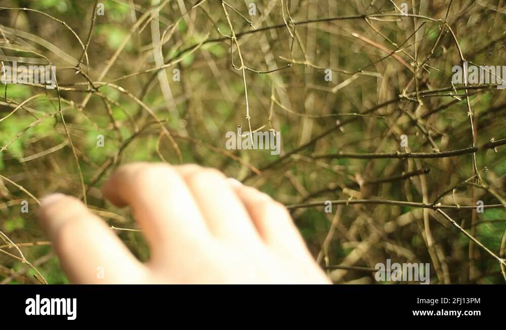 Things to do in male Stock Videos & Footage - HD and 4K Video Clips - Alamy