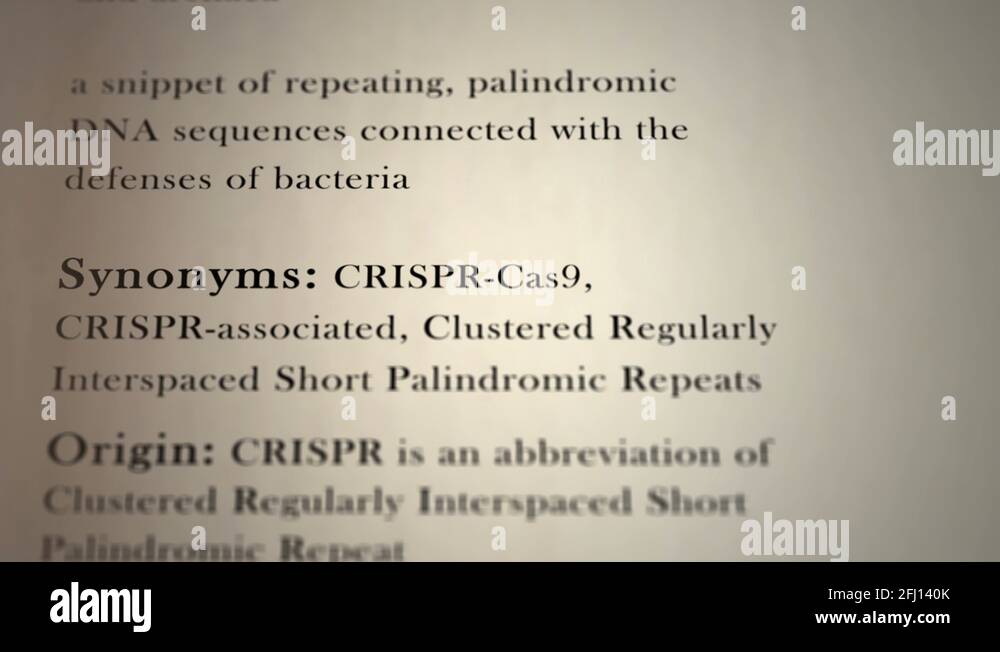 Germline cells Stock Videos & Footage - HD and 4K Video Clips - Alamy