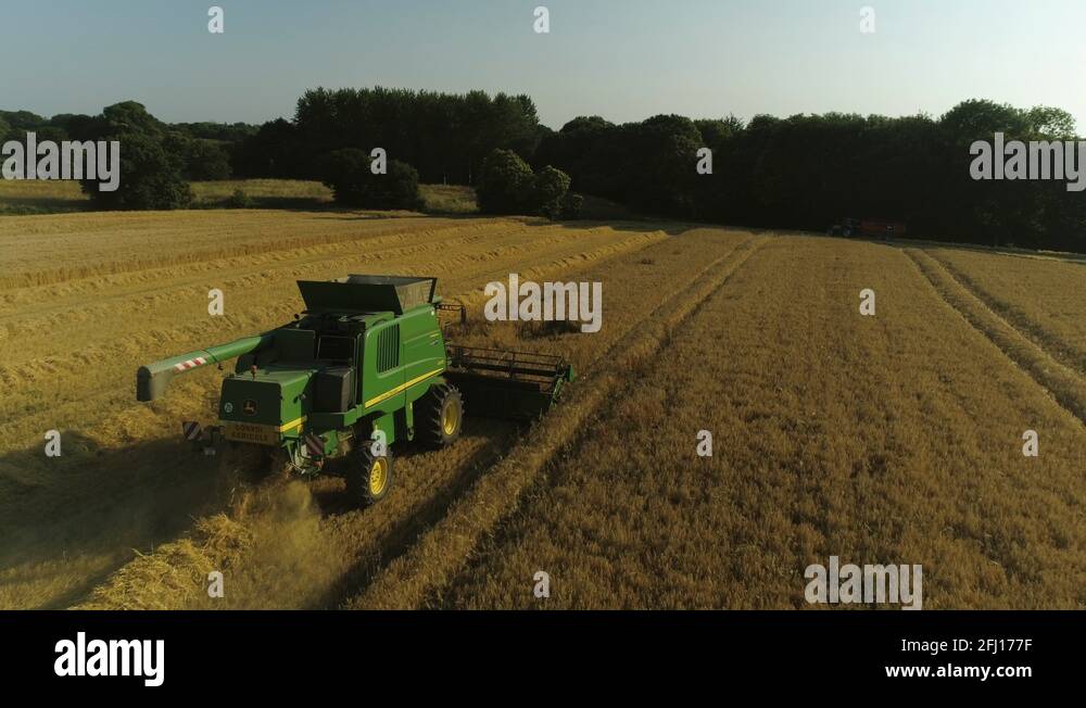 Harvest Barley in Brittany, France Stock Video Footage - Alamy