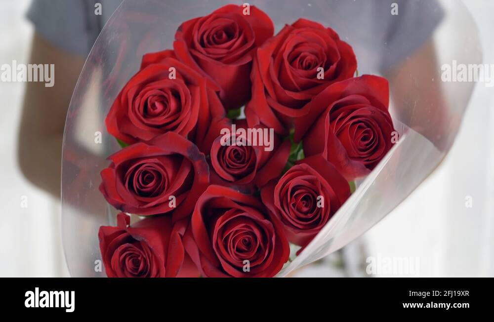 Rose couple love Stock Videos & Footage - HD and 4K Video Clips - Alamy