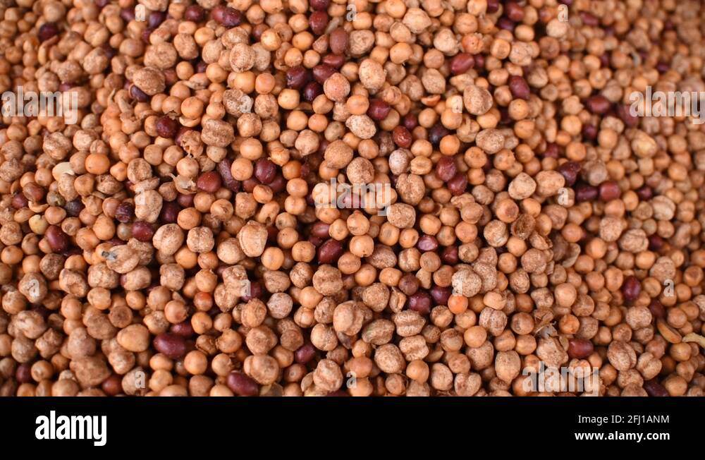 Different types of nuts Stock Videos & Footage - HD and 4K Video Clips ...