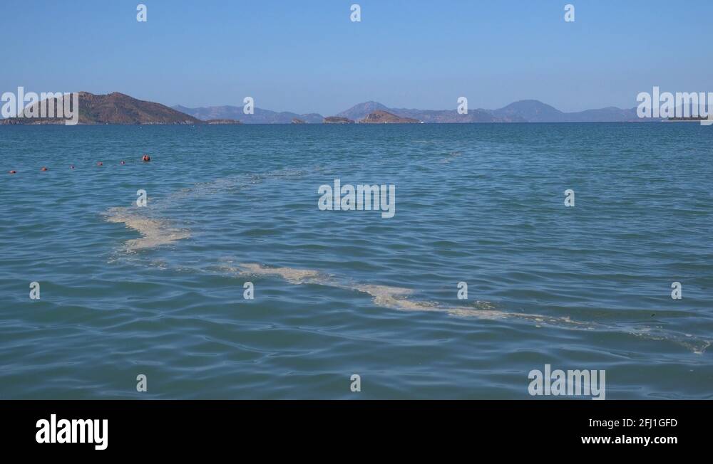 Sea scum Stock Videos & Footage - HD and 4K Video Clips - Alamy