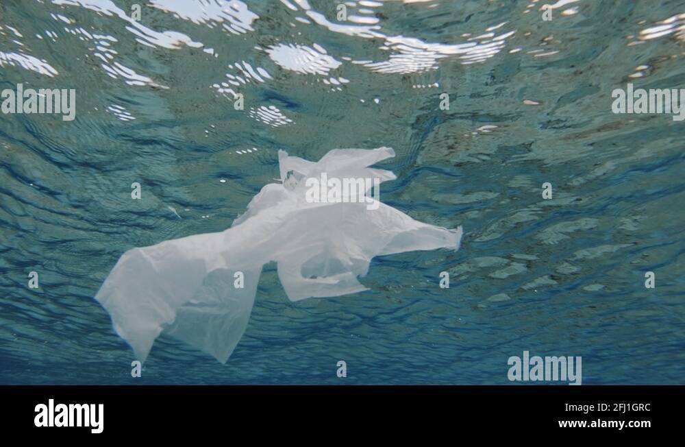 Plastic bag awareness Stock Videos & Footage - HD and 4K Video Clips ...