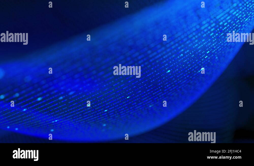 Seamless loop of blinking lights Stock Video Footage - Alamy