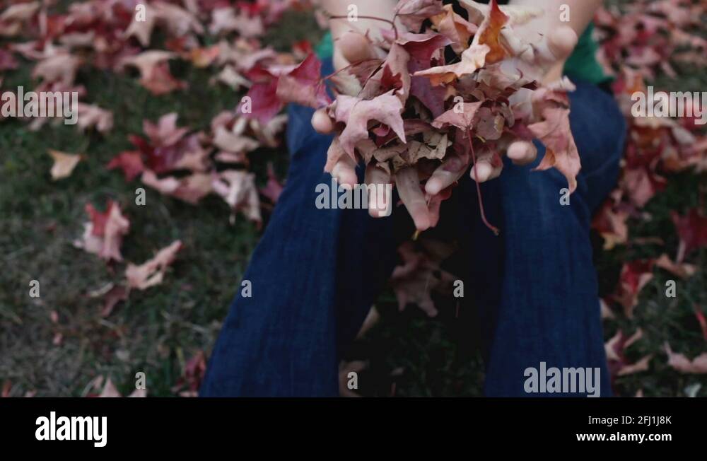 Crunch leaves Stock Videos & Footage - HD and 4K Video Clips - Alamy