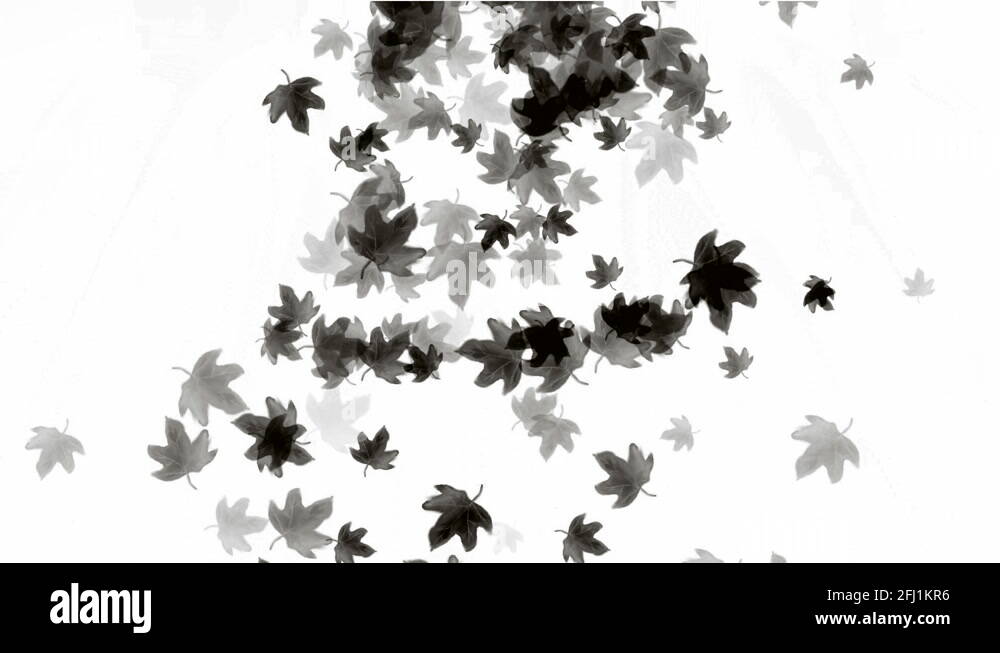 Falling pattern Stock Videos & Footage - HD and 4K Video Clips - Alamy