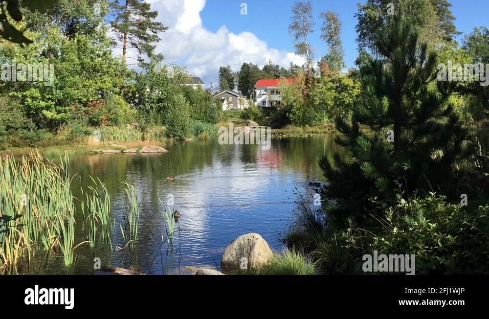 Swedish nature Stock Videos & Footage - HD and 4K Video Clips - Alamy