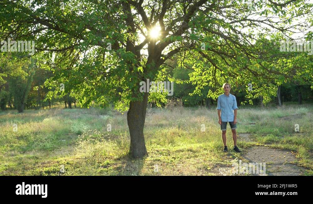 Boy standing under tree Stock Videos & Footage - HD and 4K Video Clips ...