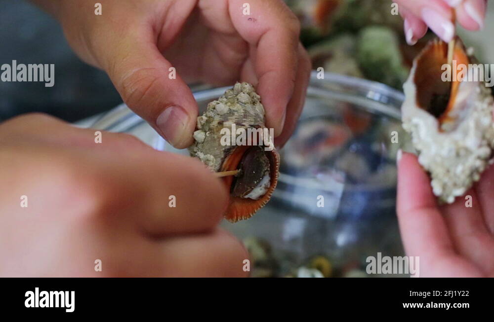 Food restaurant seafood shell Stock Videos & Footage - HD and 4K Video ...