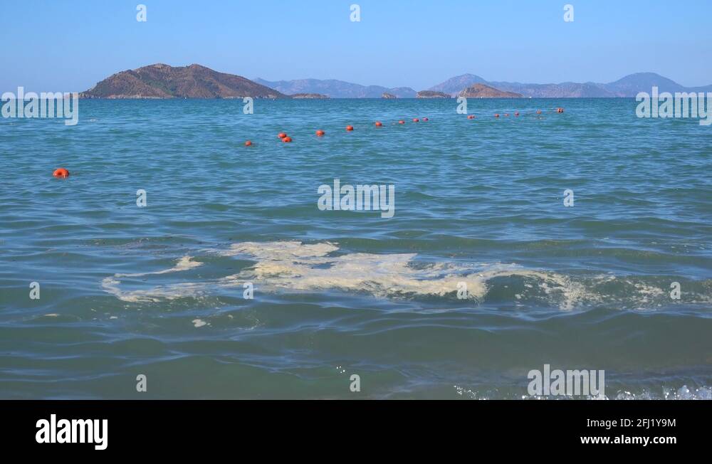 Floats on the beach Stock Videos & Footage - HD and 4K Video Clips - Alamy