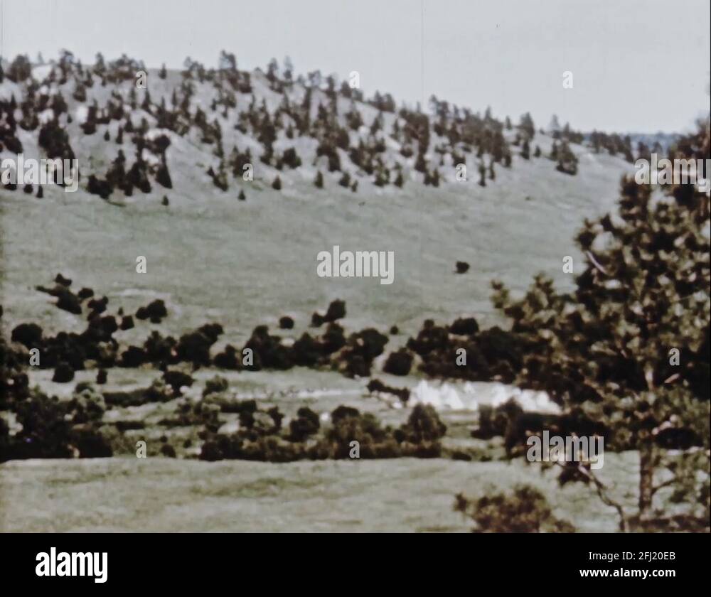 Drying clothes on ground Stock Videos & Footage - HD and 4K Video Clips ...