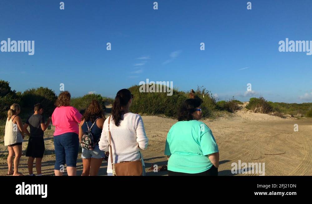 Outer banks tour Stock Videos & Footage - HD and 4K Video Clips - Alamy