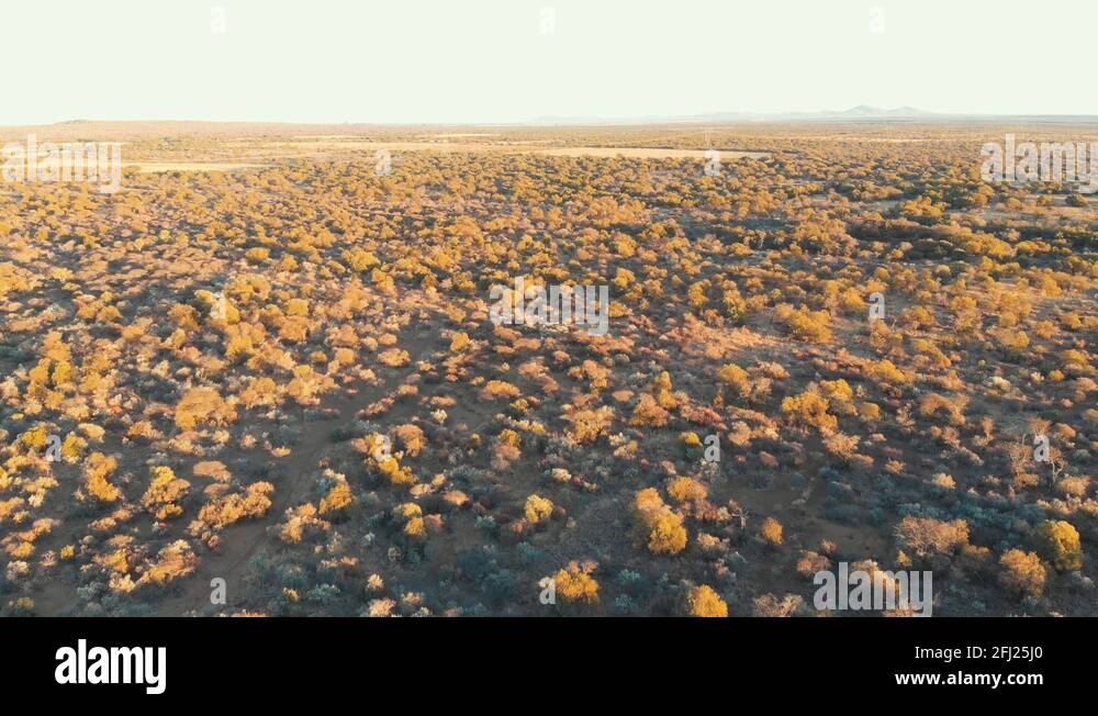 South african bushveld sunset Stock Videos & Footage - HD and 4K Video ...