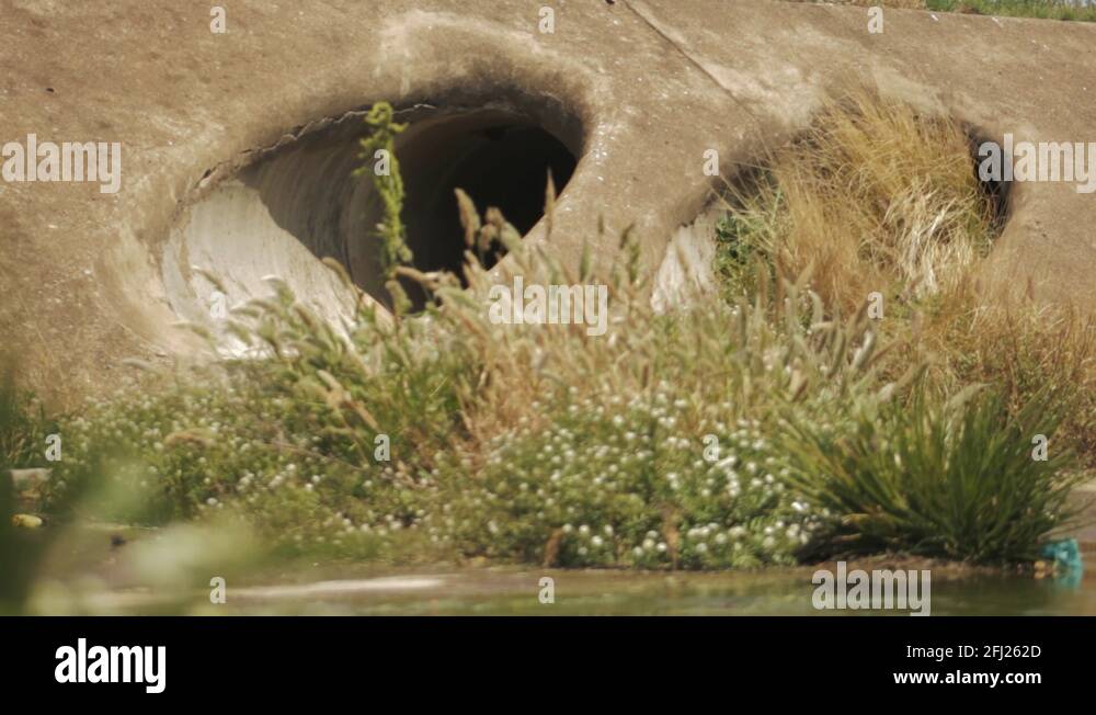 Sewage canal Stock Videos & Footage - HD and 4K Video Clips - Alamy