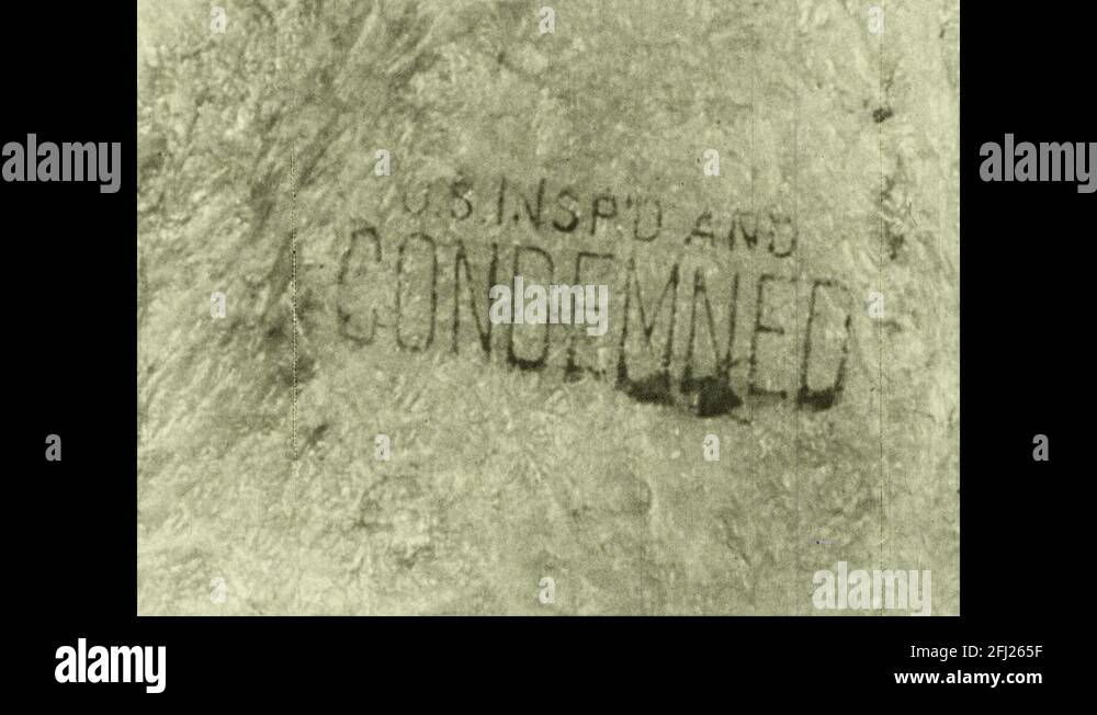 Man condemned Stock Videos & Footage - HD and 4K Video Clips - Alamy