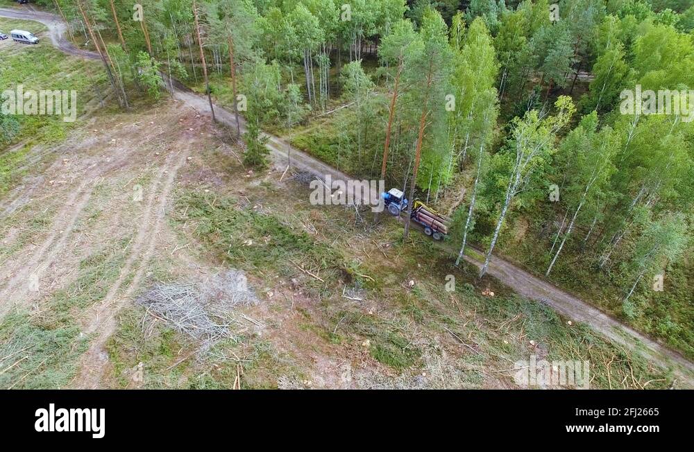 Deforestation. Tractor or truck transports, takes timber or logs out of ...