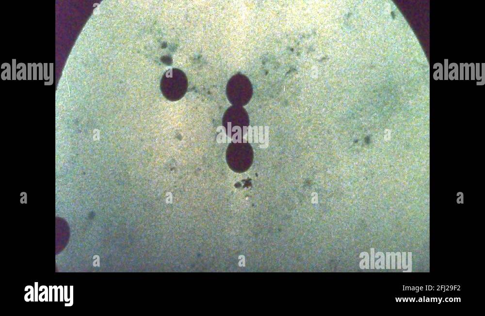 Spherical carbon particles Stock Videos & Footage - HD and 4K Video ...