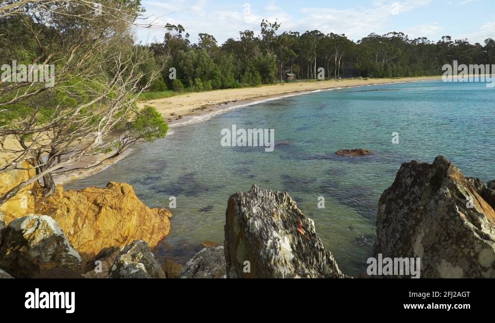 Eden park victoria Stock Videos & Footage - HD and 4K Video Clips - Alamy