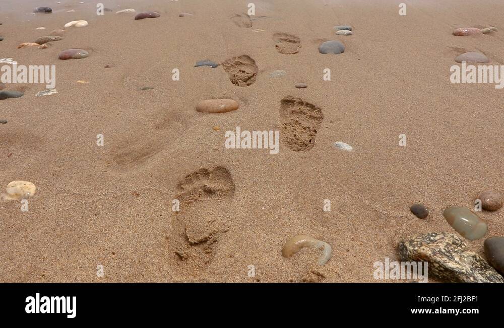 Sandy footprints Stock Videos & Footage - HD and 4K Video Clips - Alamy