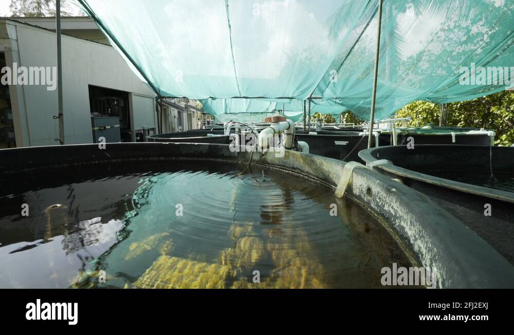 Water tank with a tap Stock Videos & Footage - HD and 4K Video Clips ...