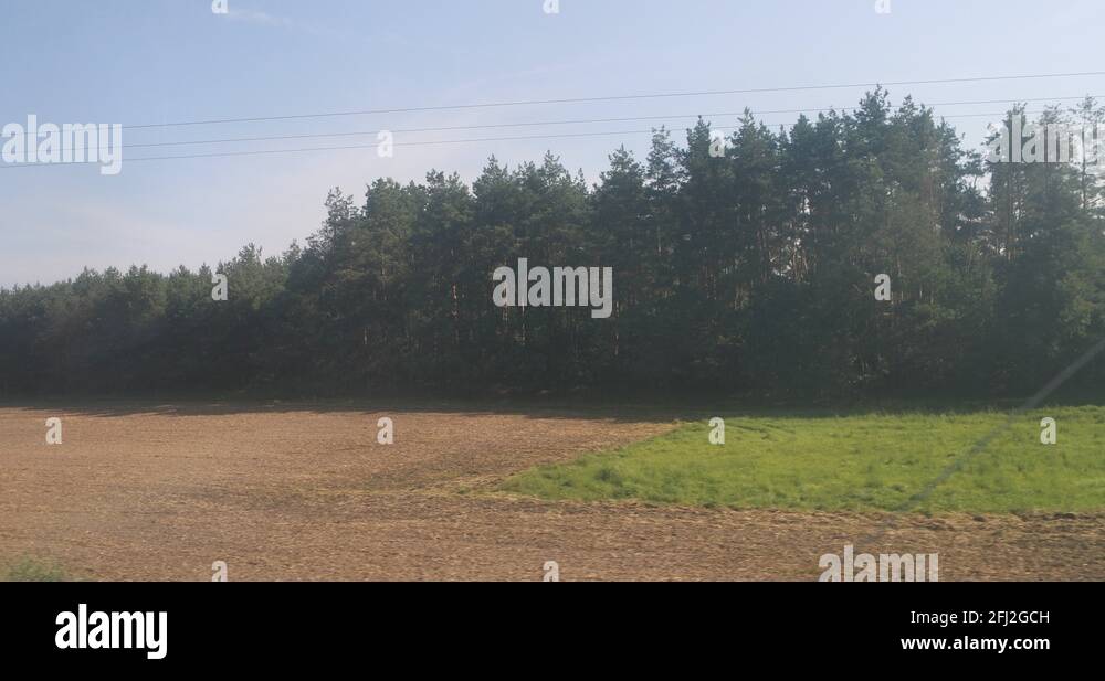 Warsaw forest Stock Videos & Footage - HD and 4K Video Clips - Alamy