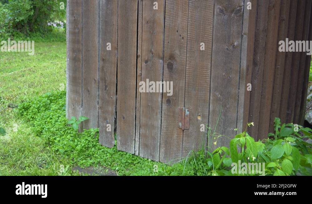 Toilet in a tree Stock Videos & Footage - HD and 4K Video Clips - Alamy