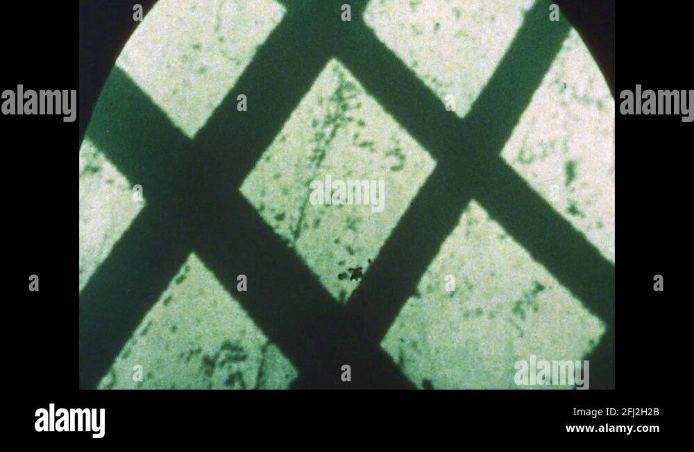 Grid electron microscope Stock Videos & Footage - HD and 4K Video Clips ...