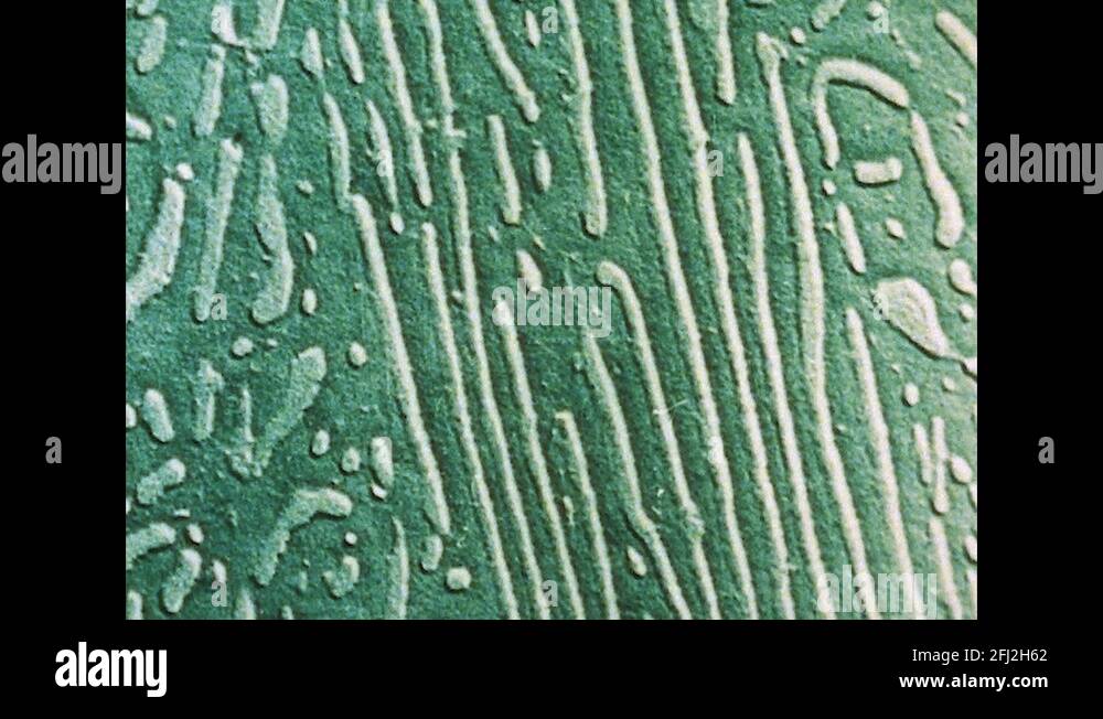 Electron microscope atoms Stock Videos & Footage - HD and 4K Video ...