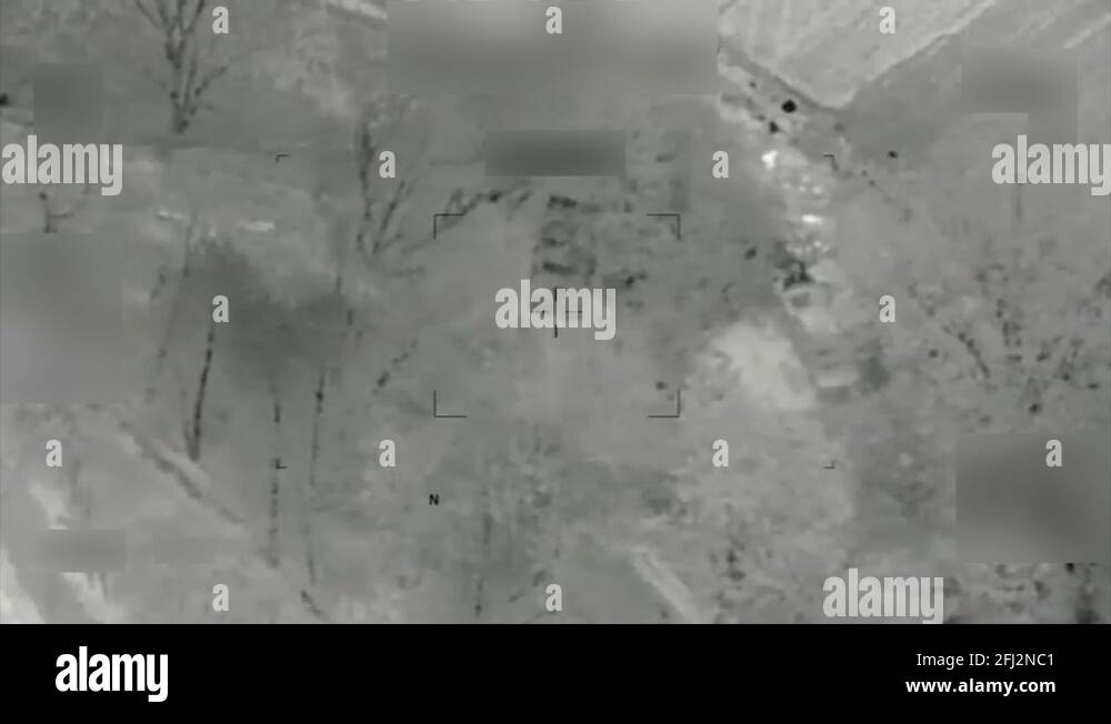 Predator attack Stock Videos & Footage - HD and 4K Video Clips - Alamy