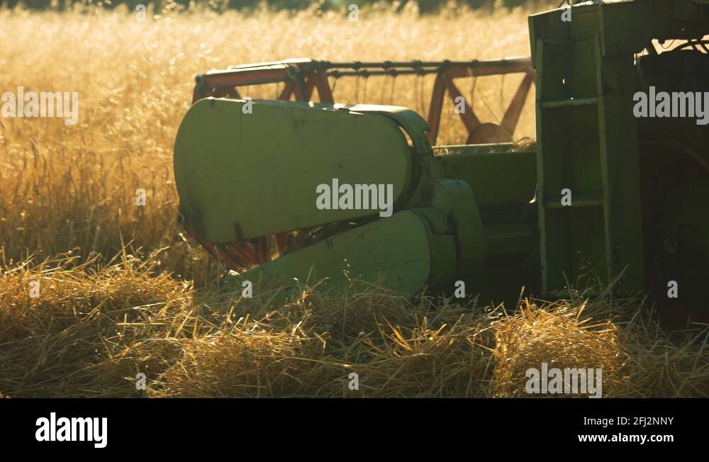 Combine cutting wheat Stock Videos & Footage - HD and 4K Video Clips ...