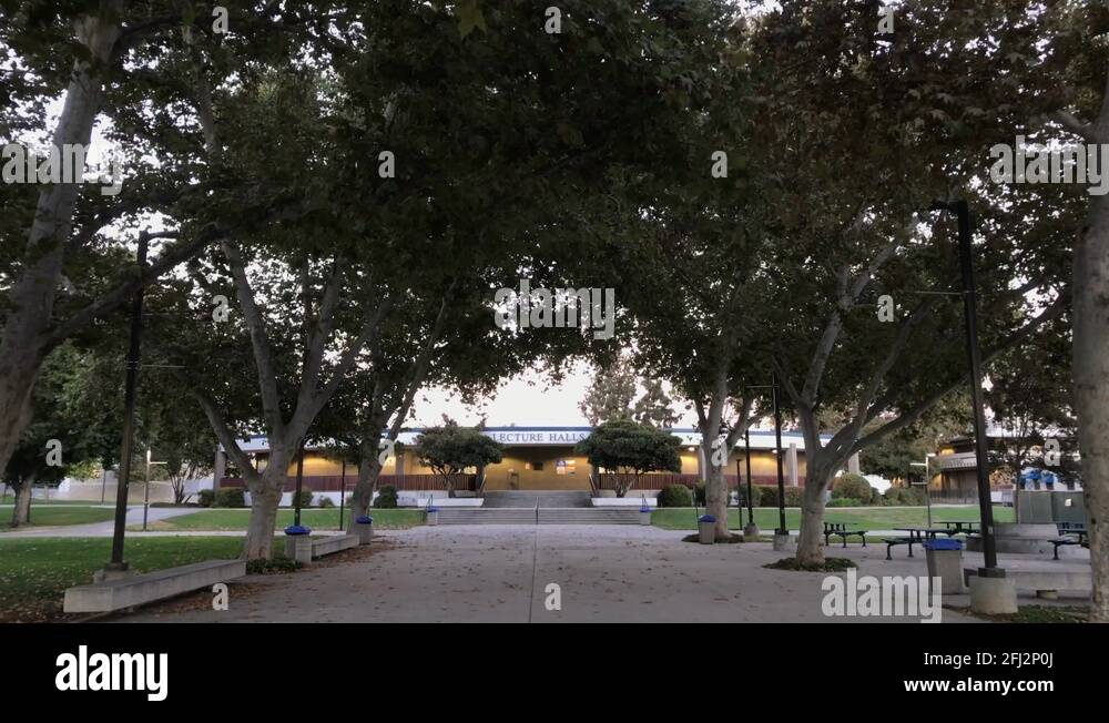 College pathway Stock Videos & Footage - HD and 4K Video Clips - Alamy