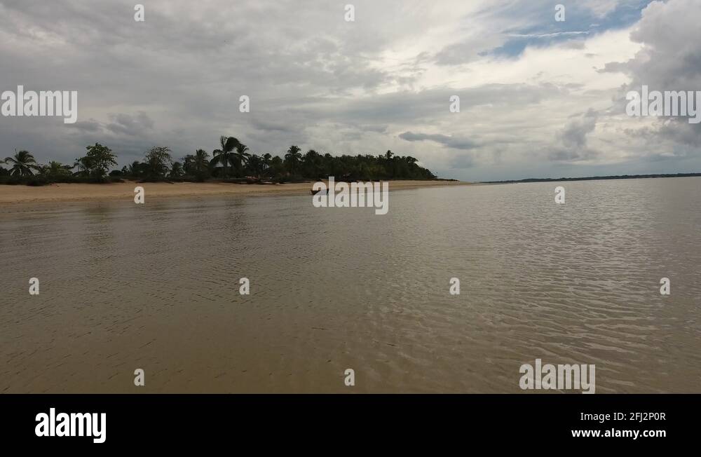 Tree landscape etching Stock Videos & Footage - HD and 4K Video Clips ...