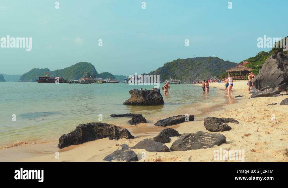 Bay of the monkeys Stock Videos & Footage - HD and 4K Video Clips - Alamy