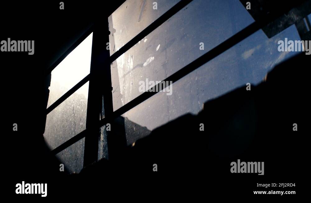 Light through a window Stock Videos & Footage - HD and 4K Video Clips ...