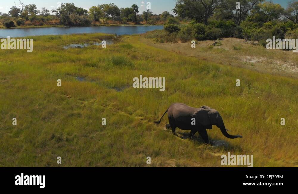 Big five banks Stock Videos & Footage - HD and 4K Video Clips - Alamy