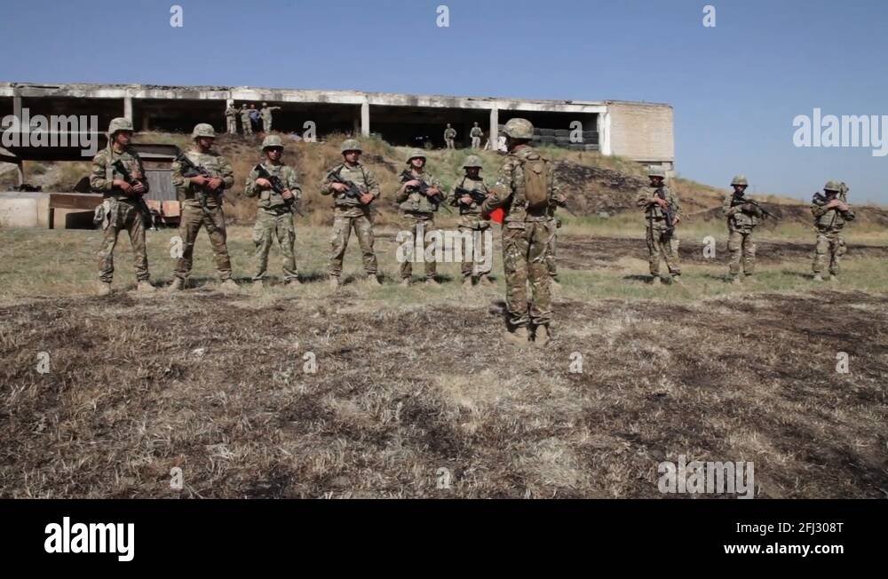 Proficiency training Stock Videos & Footage - HD and 4K Video Clips - Alamy