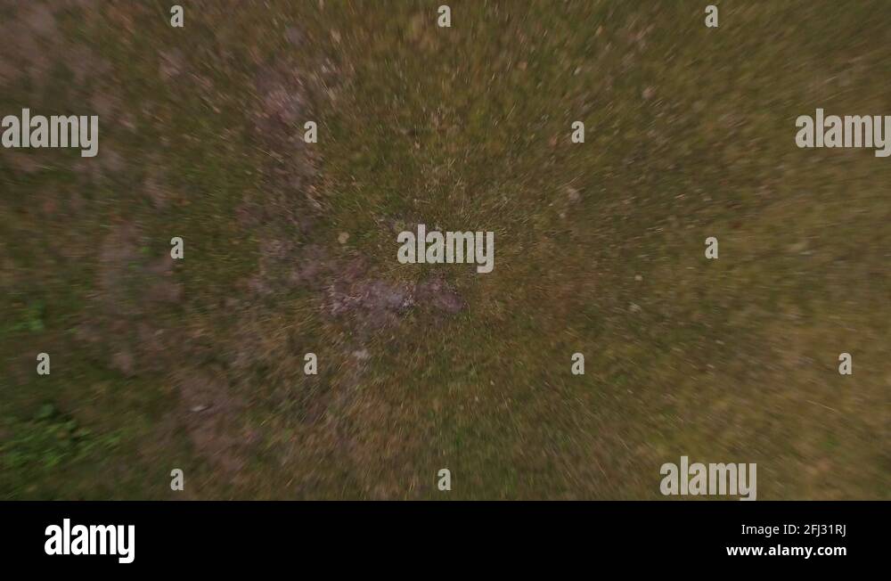 Straight up Stock Videos & Footage - HD and 4K Video Clips - Alamy