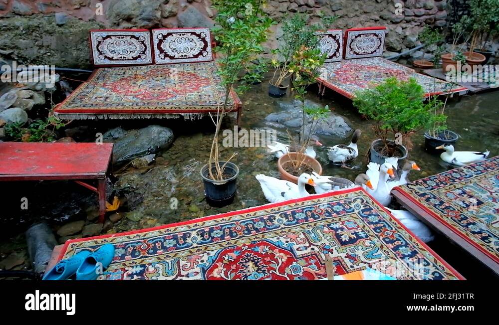 Shisha garden Stock Videos & Footage - HD and 4K Video Clips - Alamy