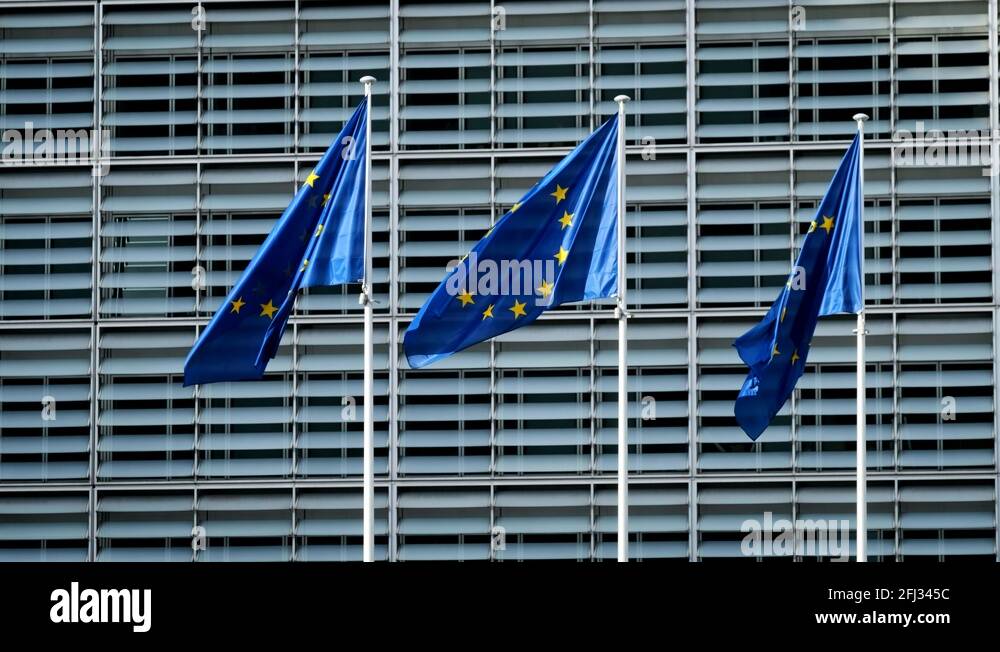 Eu flags in Stock Videos & Footage - HD and 4K Video Clips - Alamy