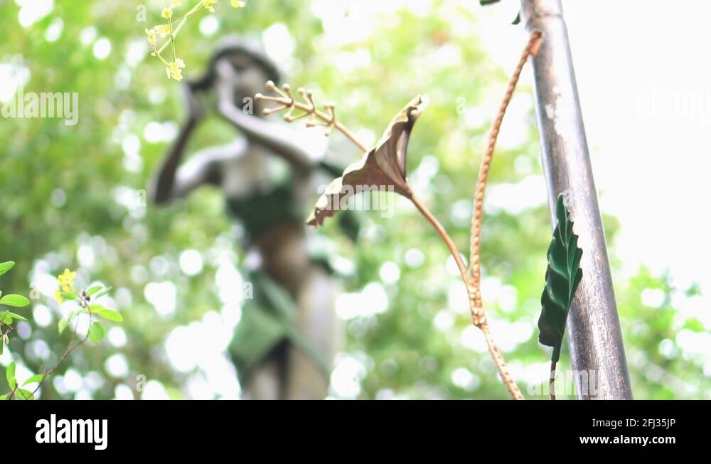 Cinematic Moving Shot On An Angel Bronze Statue With Tree And Leaves On ...