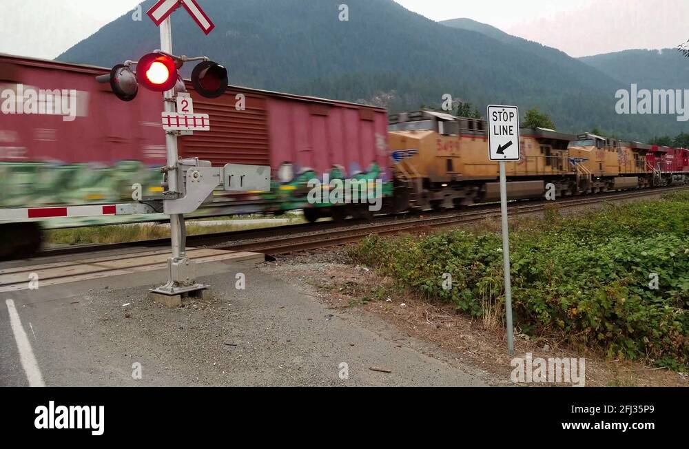 Loud screeching Stock Videos & Footage - HD and 4K Video Clips - Alamy