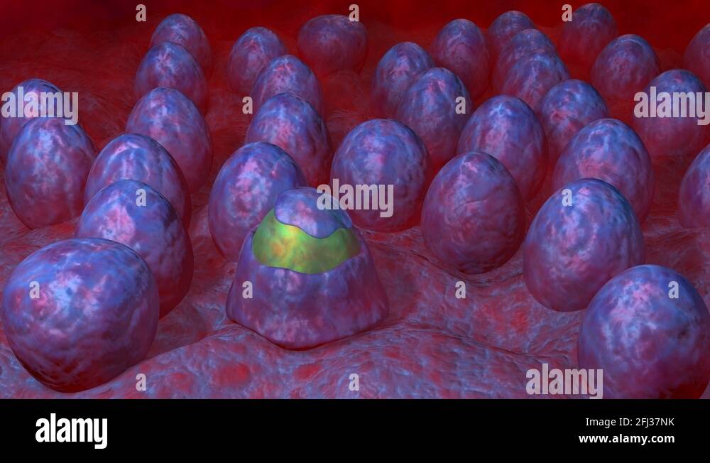 Alien eggs in mist. Life form crawling out of egg. 3d animation Stock ...