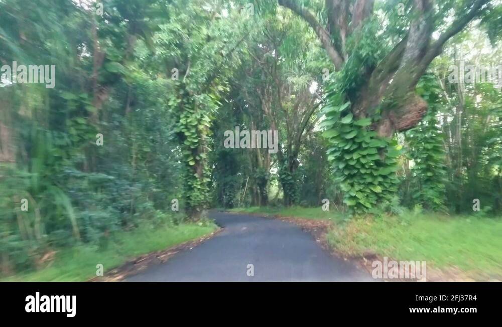 A spiritual road Stock Videos & Footage - HD and 4K Video Clips - Alamy